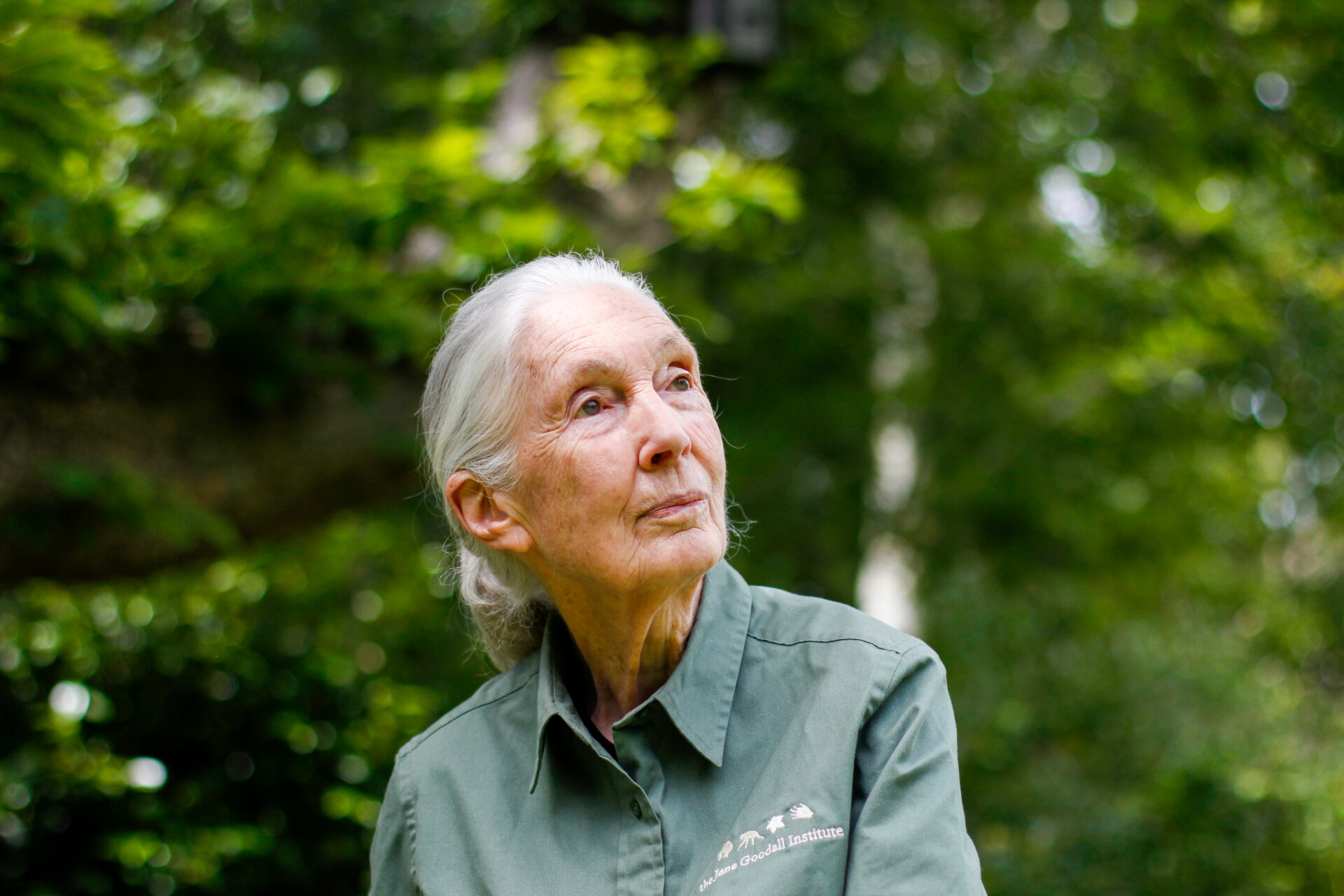 ELHUNYT DAME JANE GOODALL - ONBRANDS - ÉRTÉK ALAPON